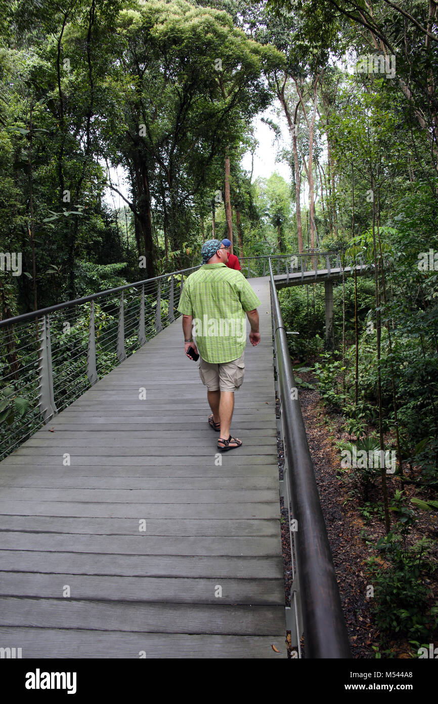 Tropical forest path in the Botanical Garden Stock Photo - Alamy