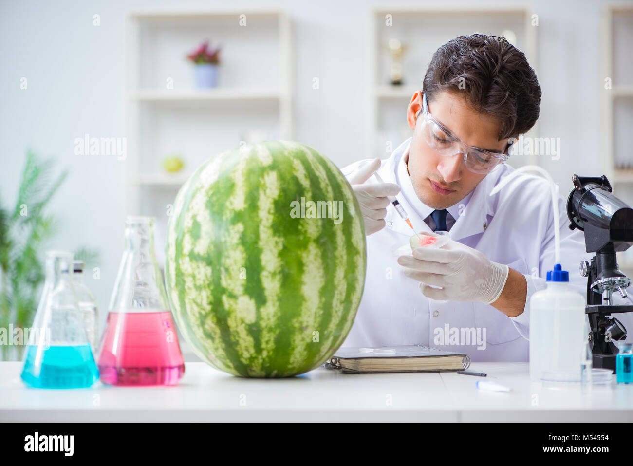 Scientist testing watermelon in lab Stock Photo - Alamy
