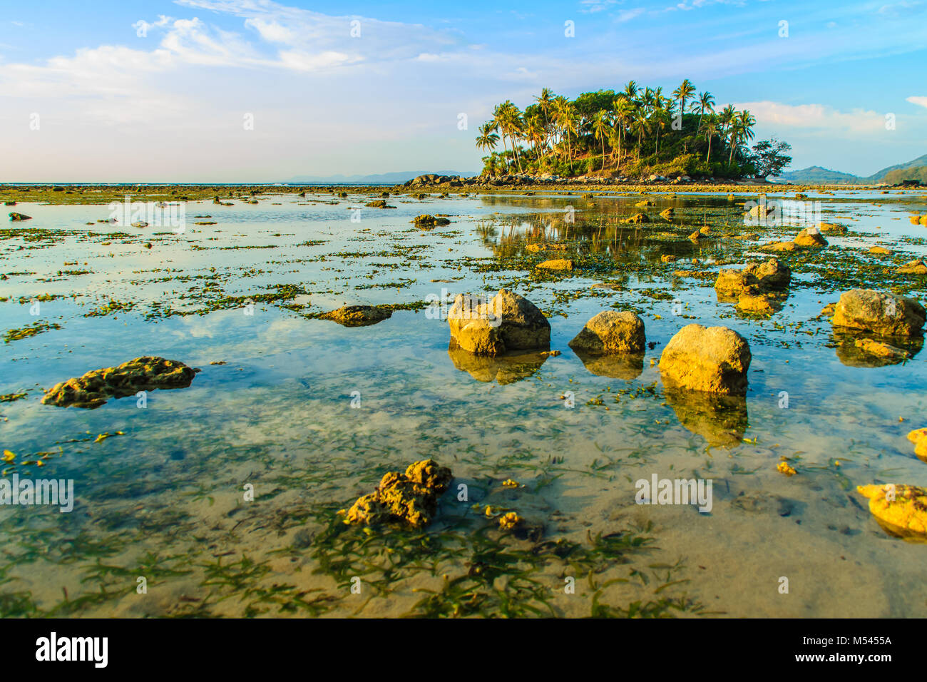 Lonely remote island with rock beach and tree when the sea water ...