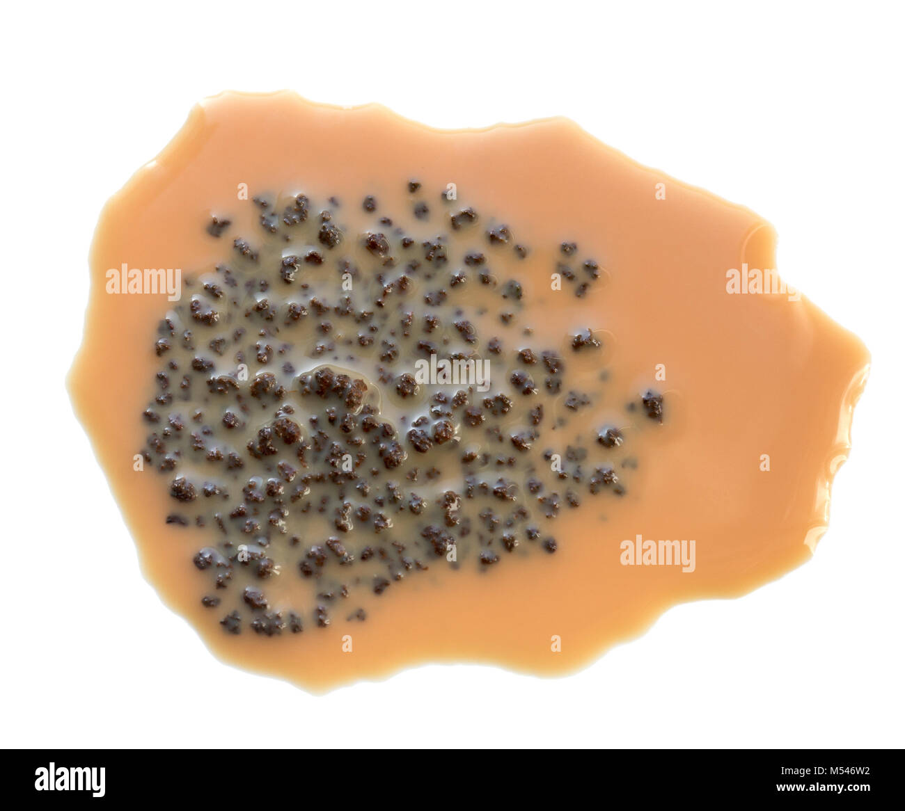 Tea stain hi-res stock photography and images - Alamy