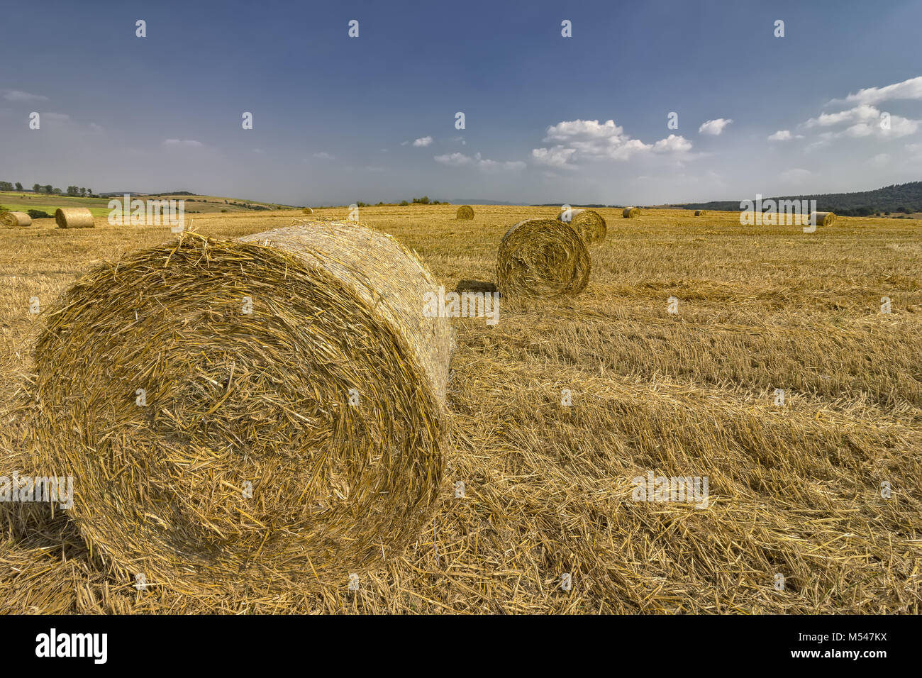 Big hay bale hi-res stock photography and images - Alamy