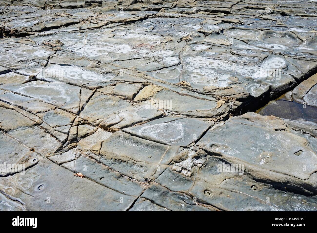 Seaside rock shelf showing natural splits, fractures and erosion Stock ...