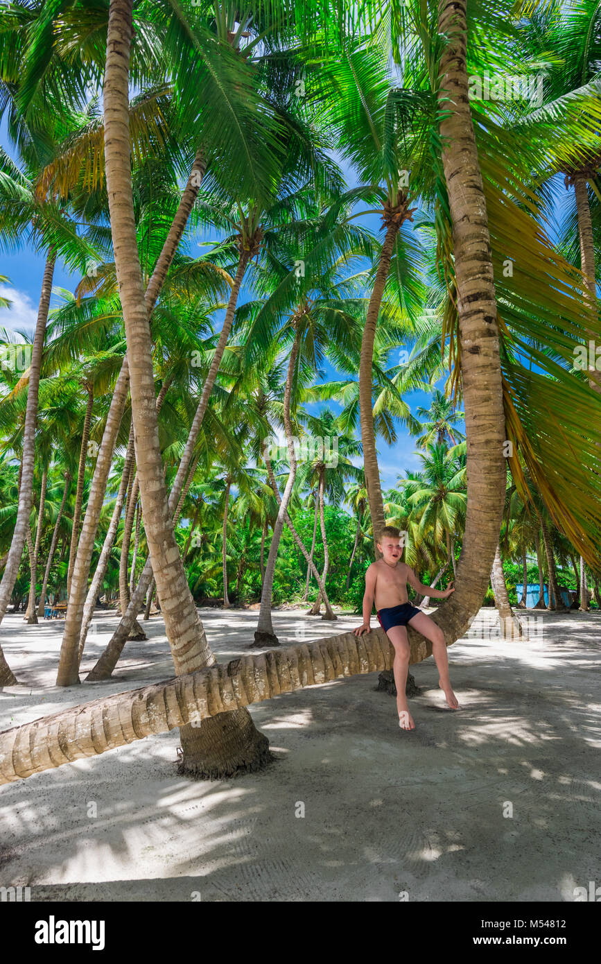 Boy on palm tree hi-res stock photography and images - Alamy