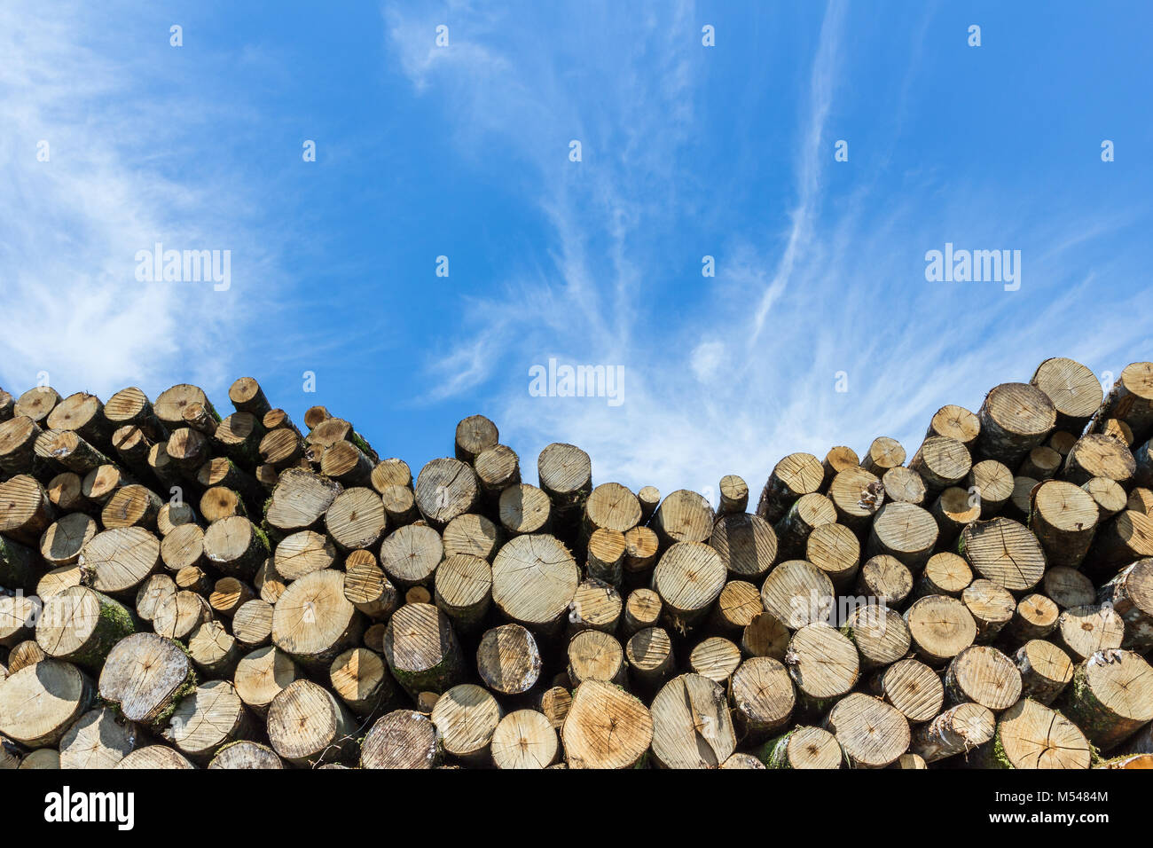 Stack of cut timber Stock Photo - Alamy