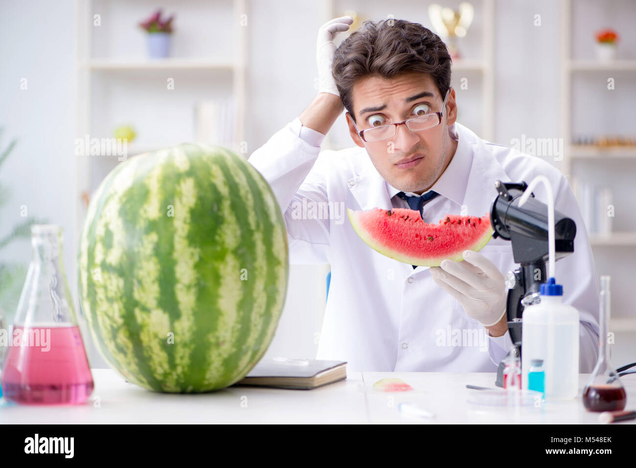 Scientist testing watermelon in lab Stock Photo - Alamy