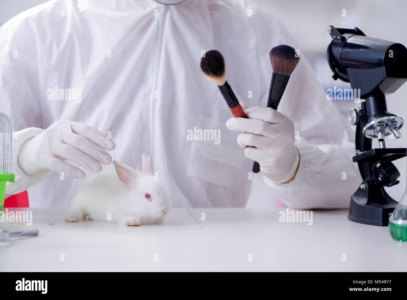 White rabbit in scientific lab experiment Stock Photo - Alamy