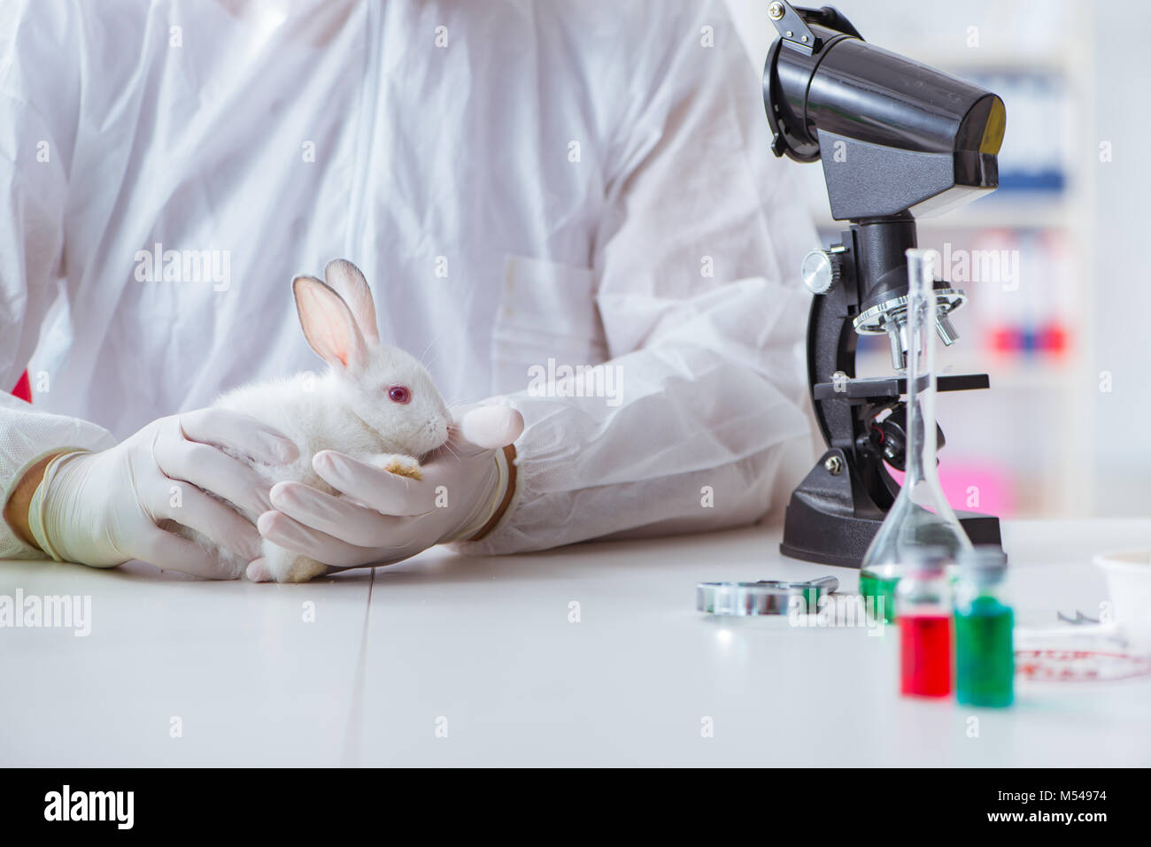 White rabbit in scientific lab experiment Stock Photo - Alamy