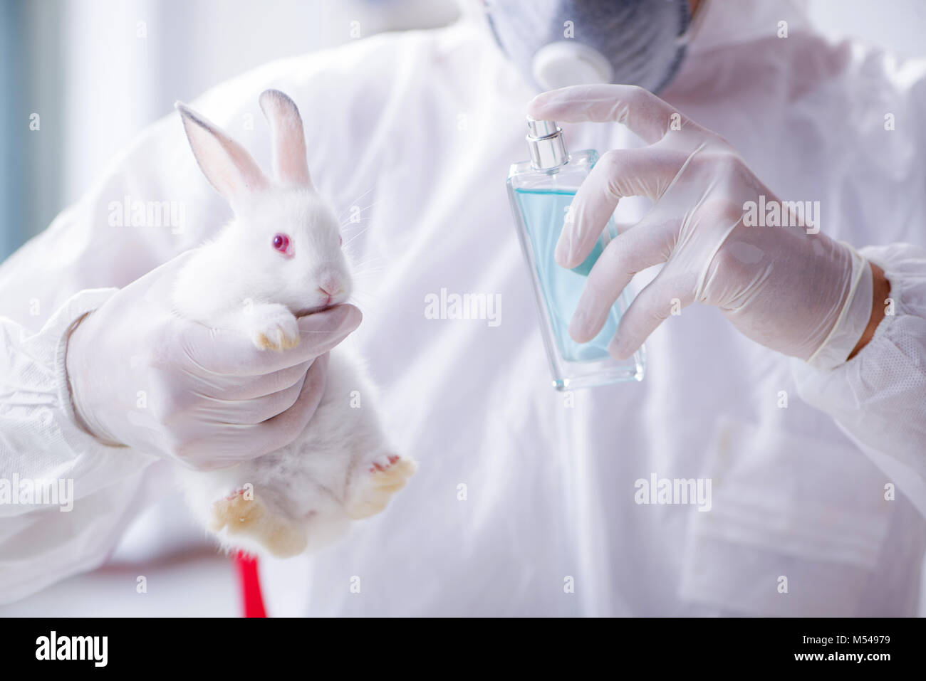 White rabbit in scientific lab experiment hi-res stock photography and ...