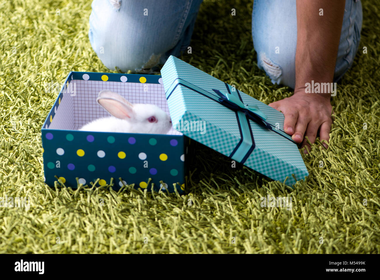 Young man getting rabbit as birthday present Stock Photo - Alamy