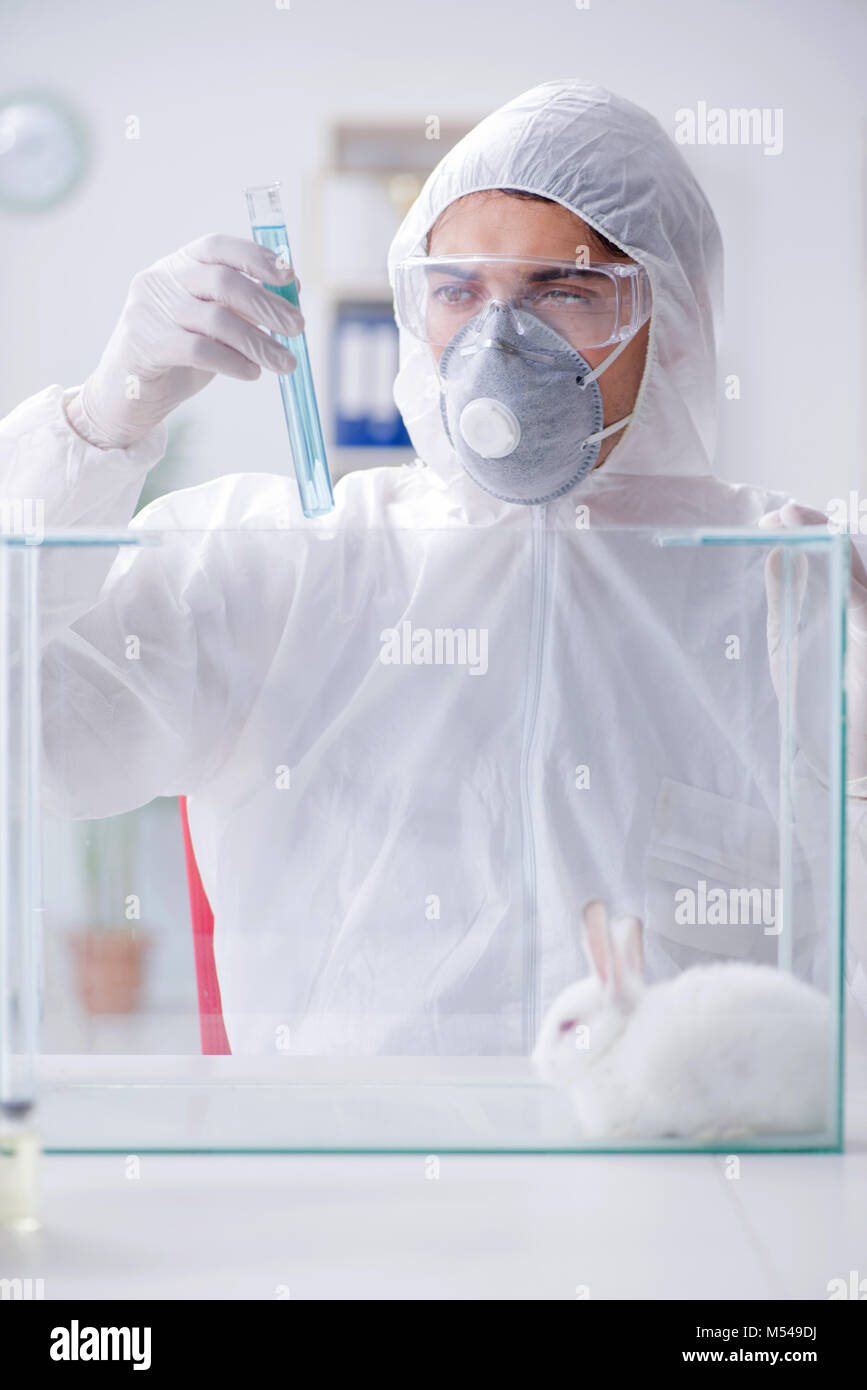 Scientist doing animal experiment in lab with rabbit Stock Photo - Alamy