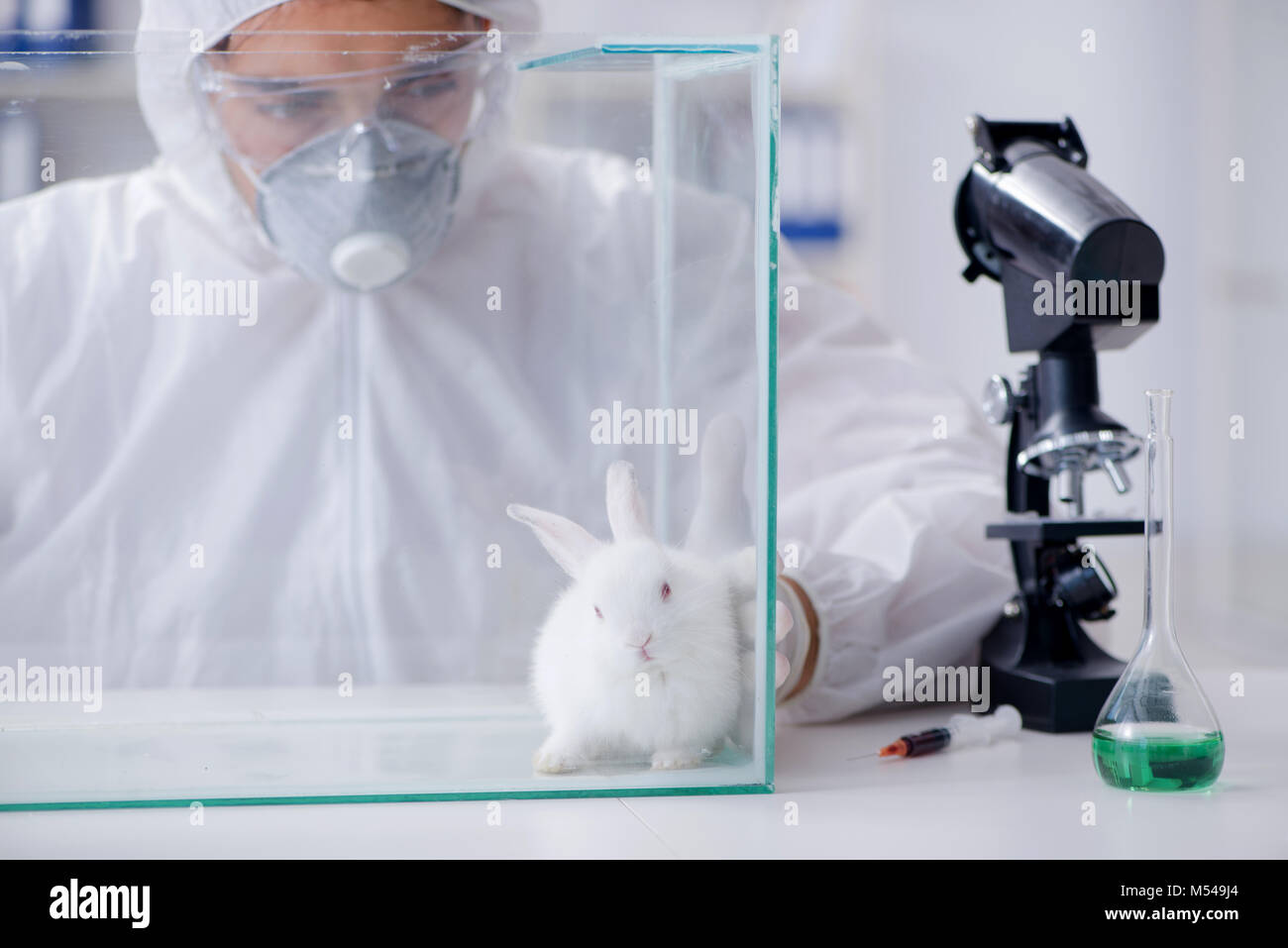 Scientist doing animal experiment in lab with rabbit Stock Photo - Alamy