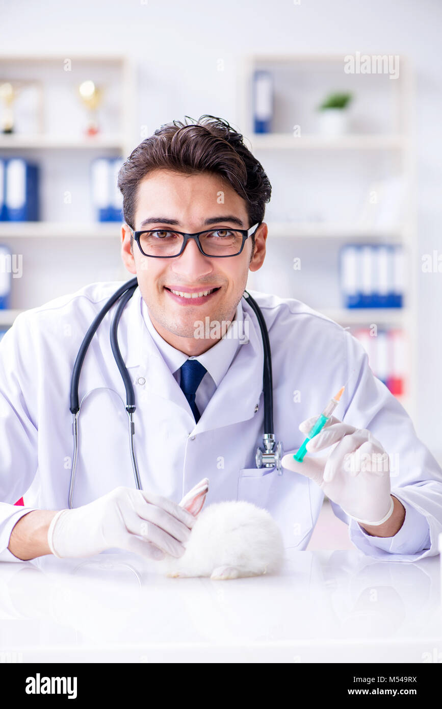 Vet doctor examining rabbit in pet hospital Stock Photo - Alamy