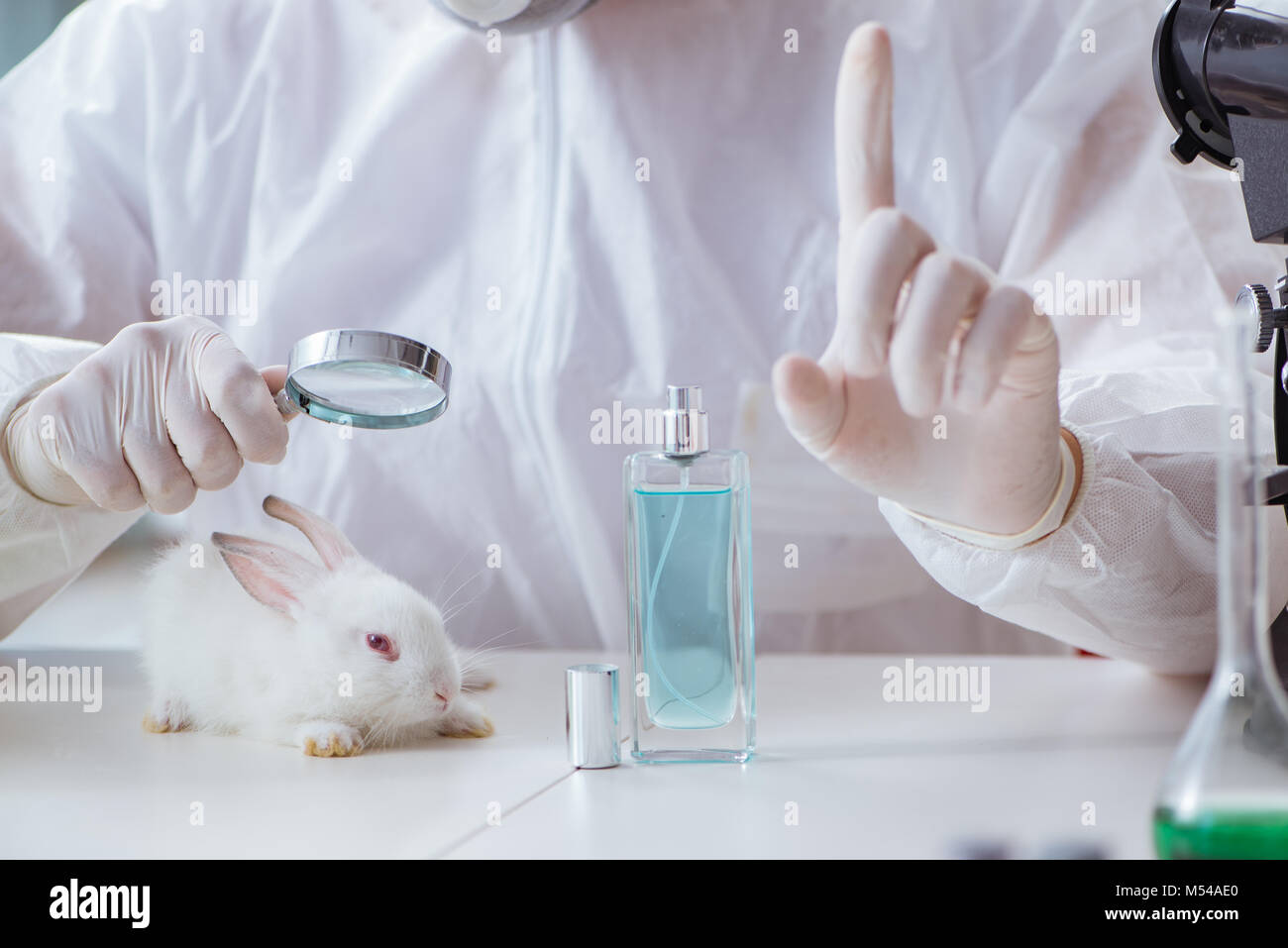 White rabbit in scientific lab experiment Stock Photo - Alamy