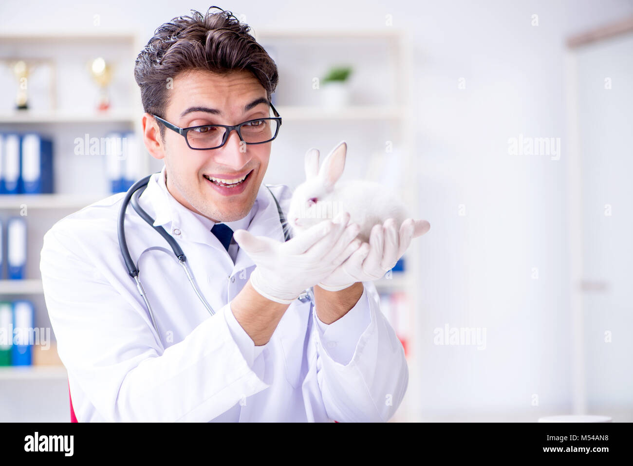 Vet doctor examining rabbit in pet hospital Stock Photo - Alamy