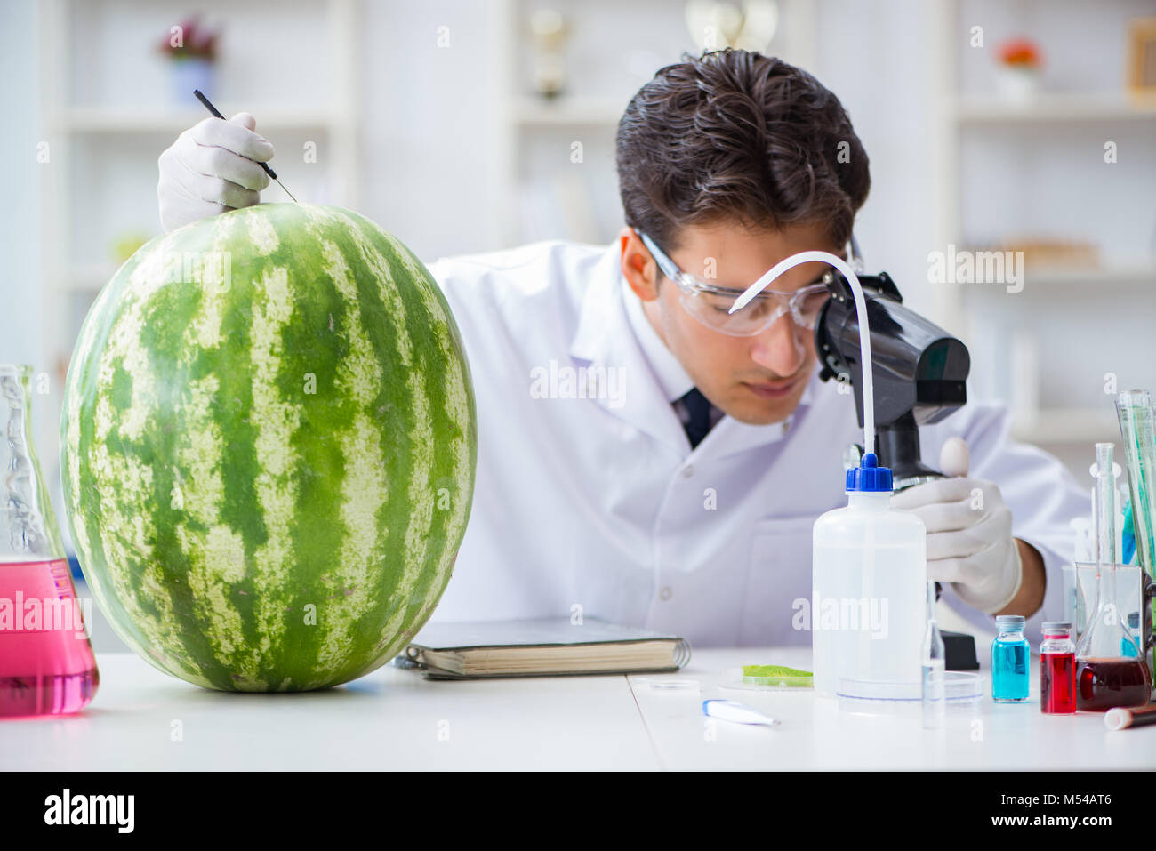 Scientist testing watermelon in lab Stock Photo - Alamy