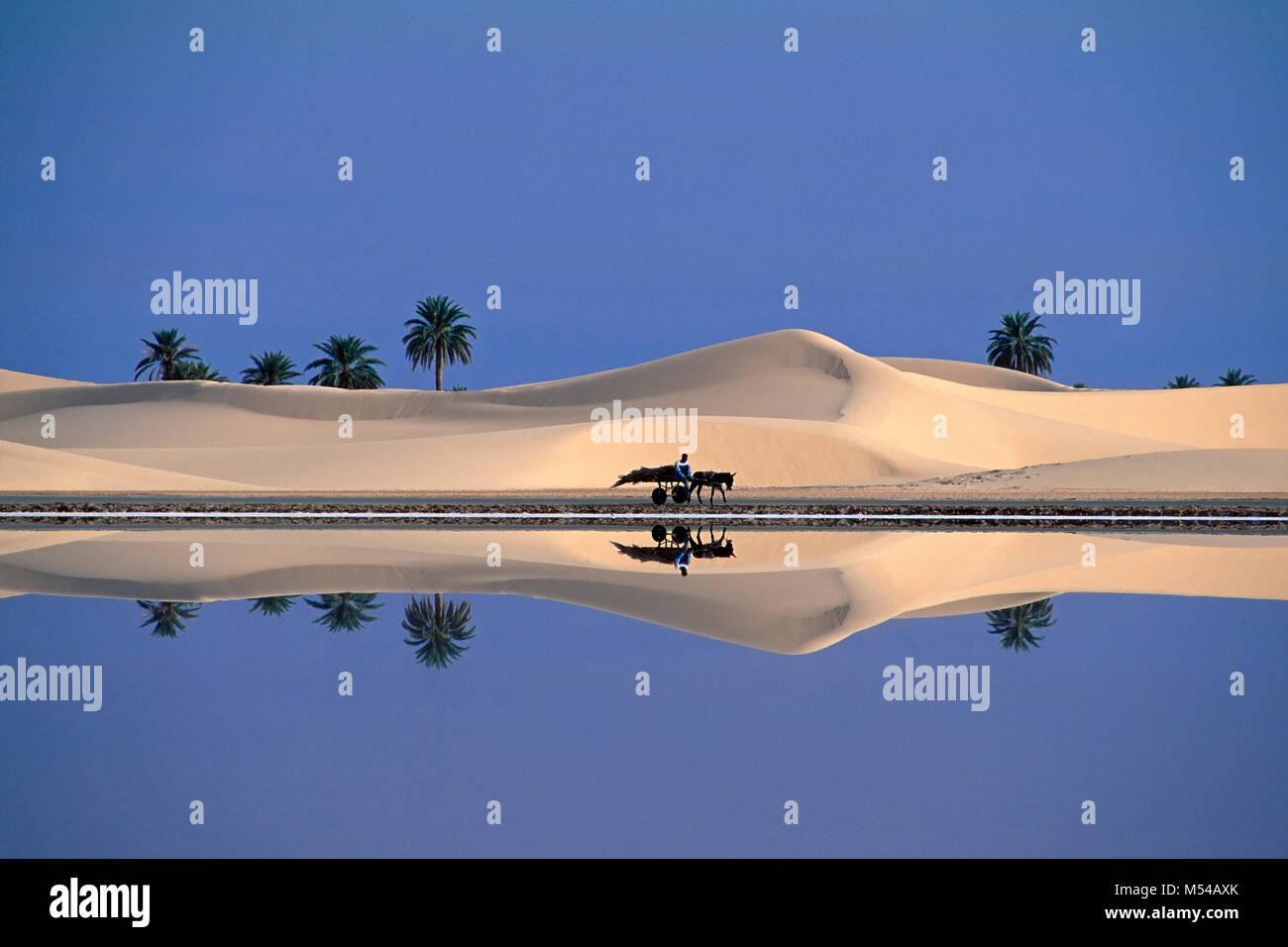 Algeria. Near Ouargla. Eastern Sand Sea. Grand Erg Oriental. Sahara ...