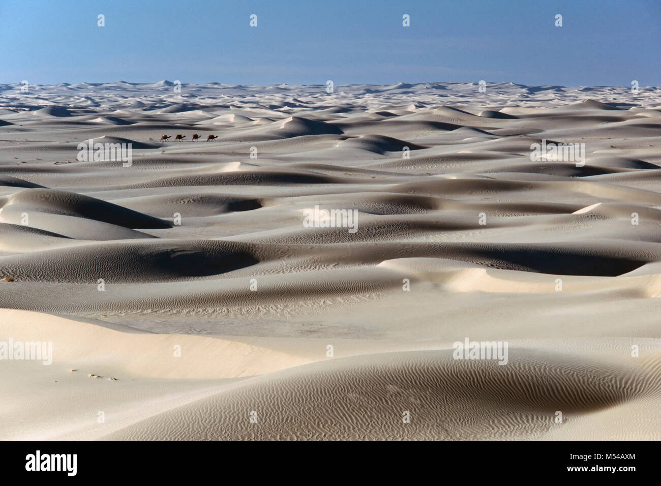 Algeria. Near Ouargla. Eastern Sandsea. Grand Erg Oriental. Sahara ...