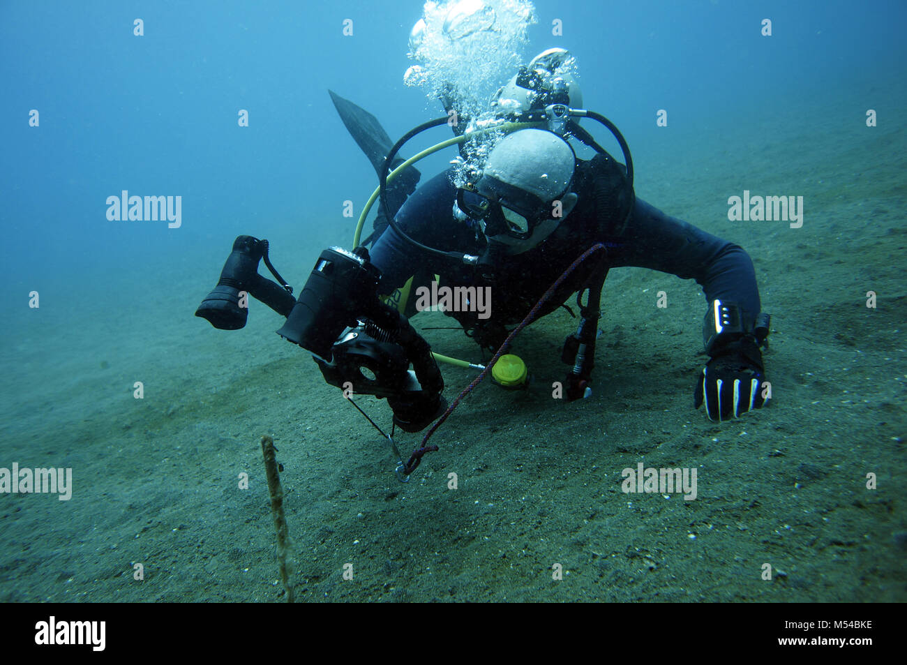 Sea Pen Stock Photos & Sea Pen Stock Images - Alamy