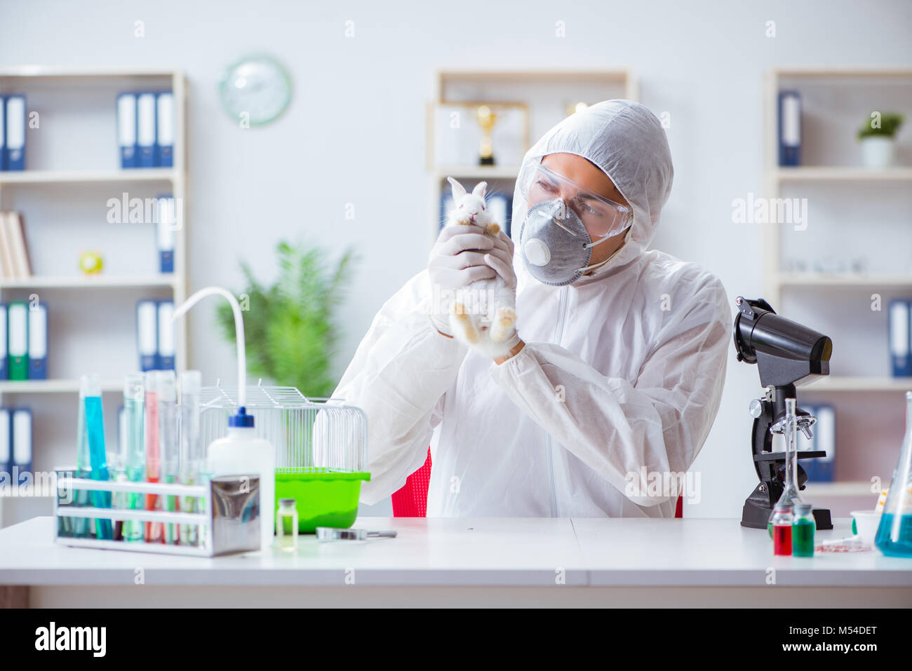 Scientist doing animal experiment in lab with rabbit Stock Photo - Alamy