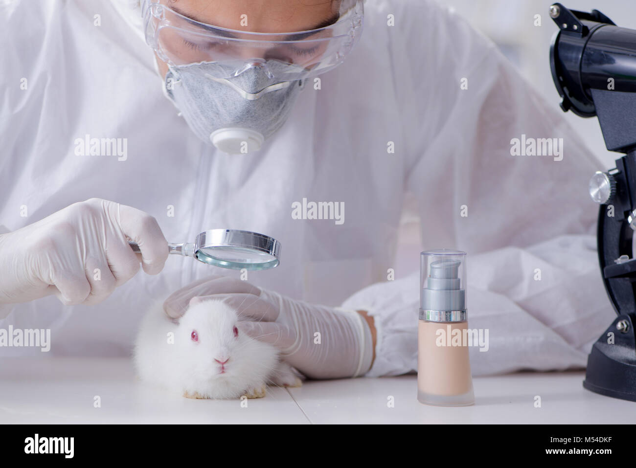 Scientist doing animal experiment in lab with rabbit Stock Photo - Alamy