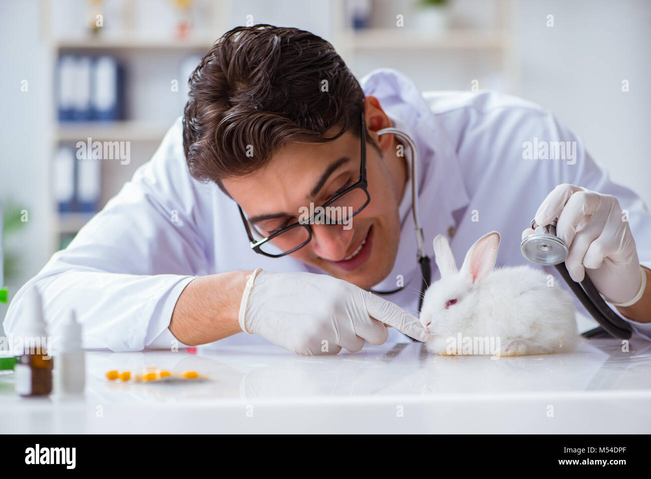 Vet doctor examining rabbit in pet hospital Stock Photo - Alamy