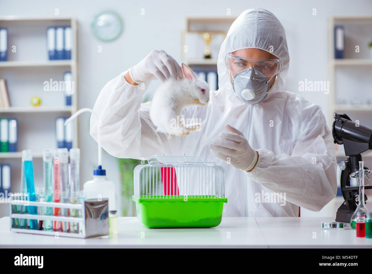 Scientist doing animal experiment in lab with rabbit Stock Photo - Alamy