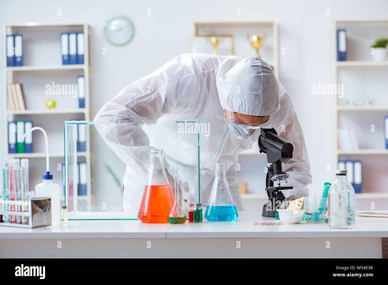 Scientist doing animal experiment in lab with rabbit Stock Photo - Alamy