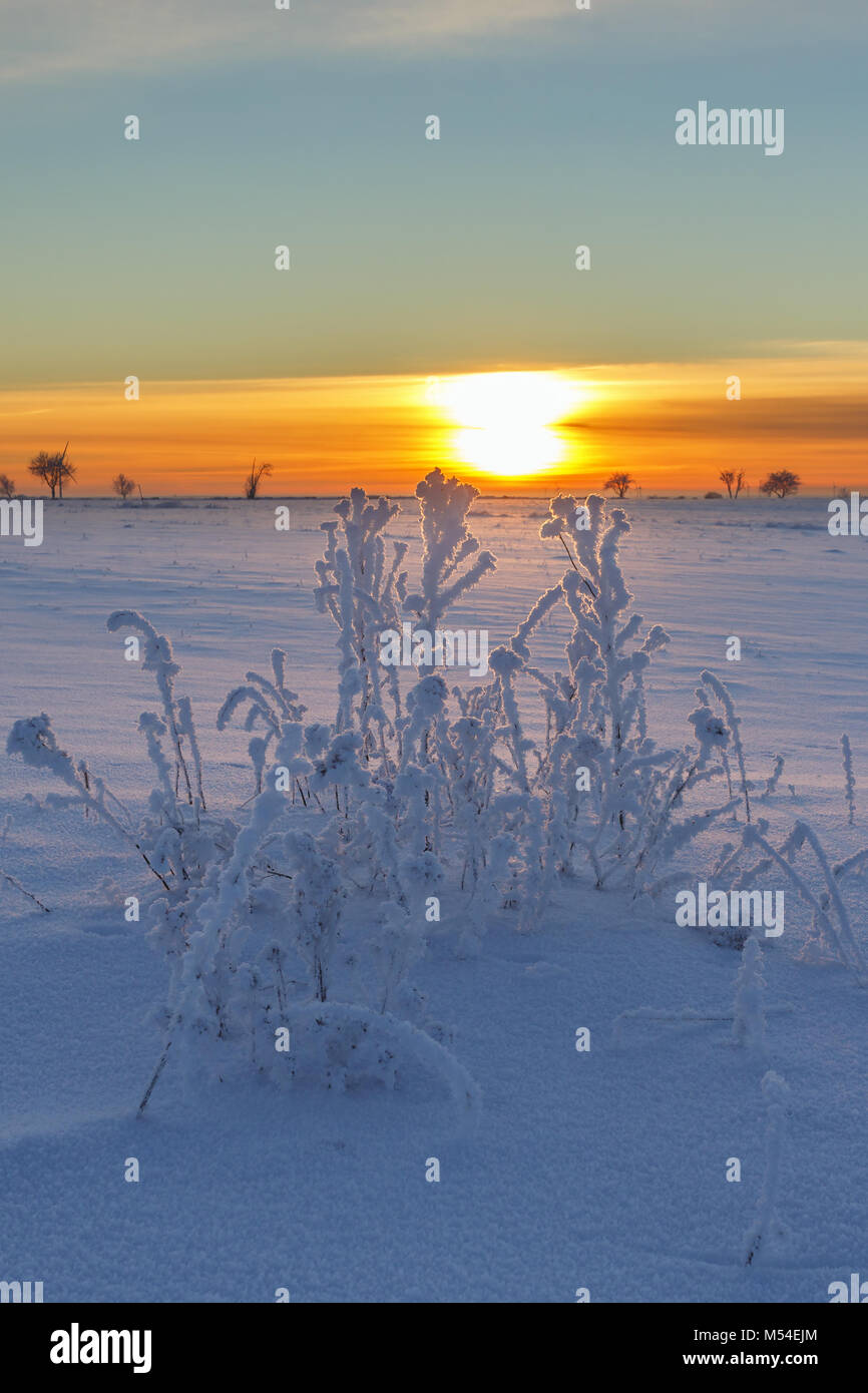 Frosty landscape hi-res stock photography and images - Alamy