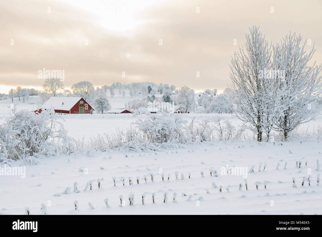 Rural winter landscape with a farm Stock Photo - Alamy