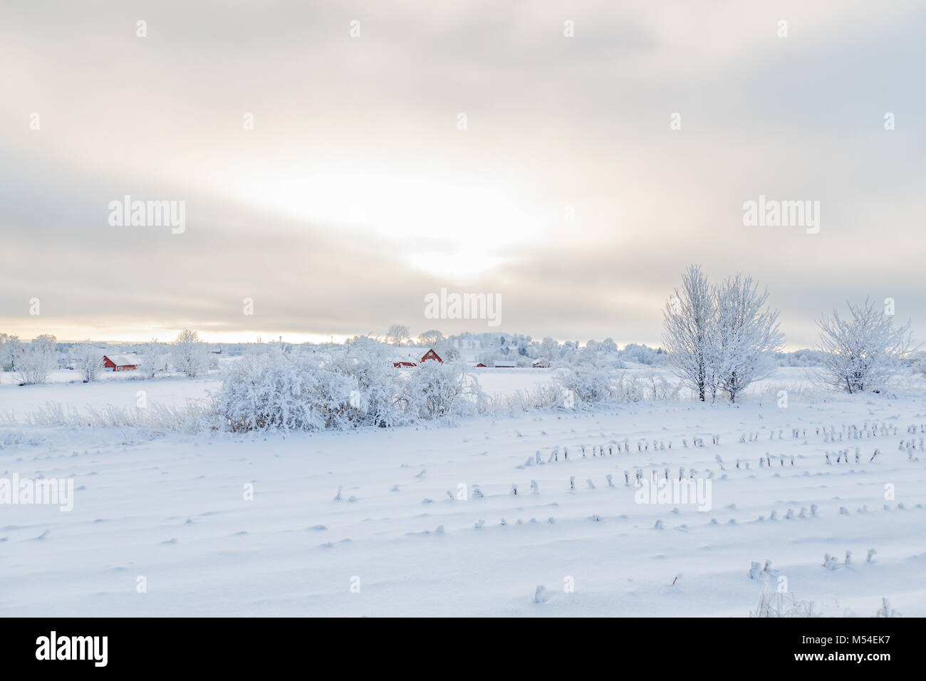 Cold winter landscape with snow and frost Stock Photo - Alamy