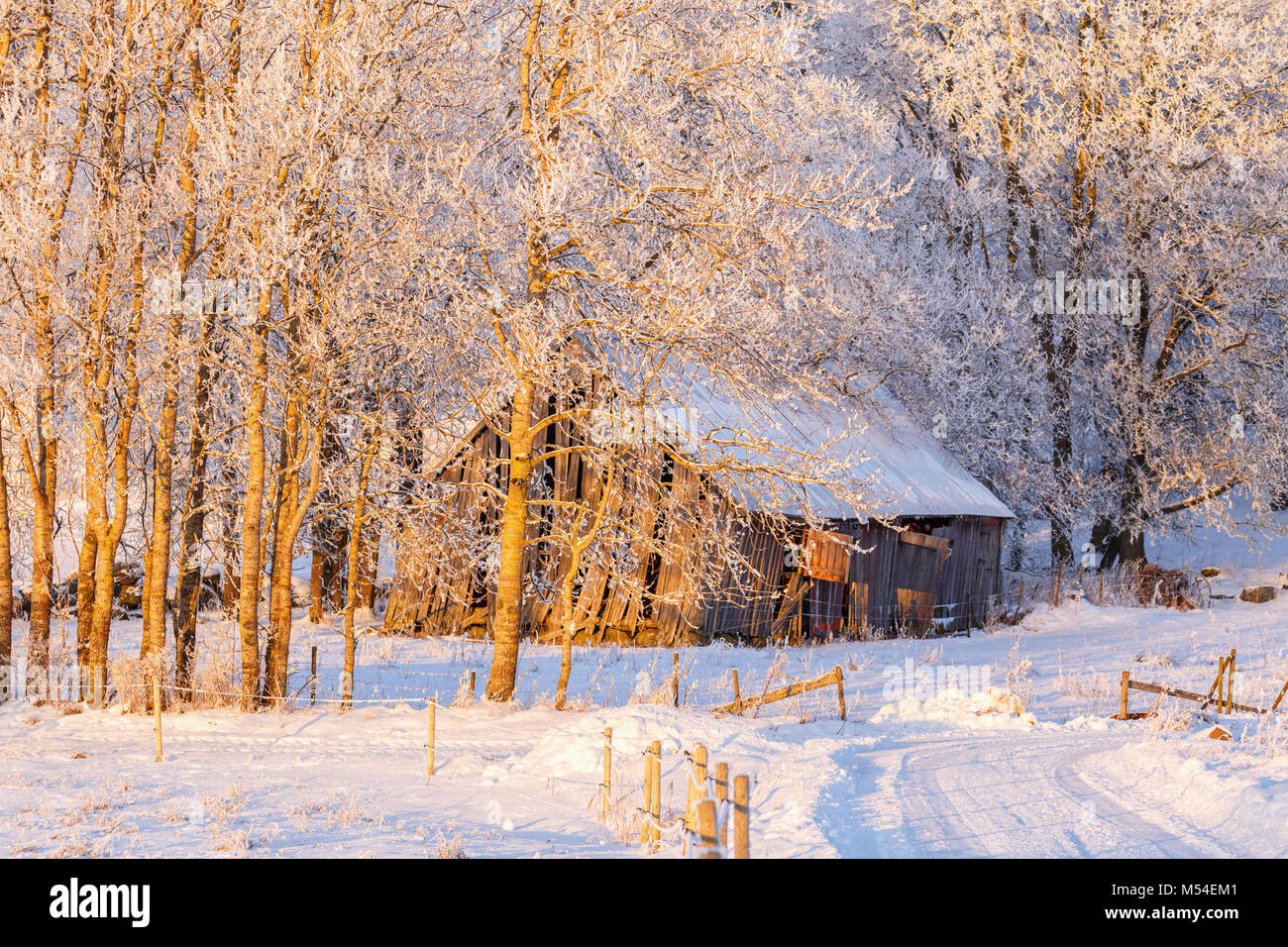 Old rustic barn in a winter landscape in the countryside Stock Photo ...