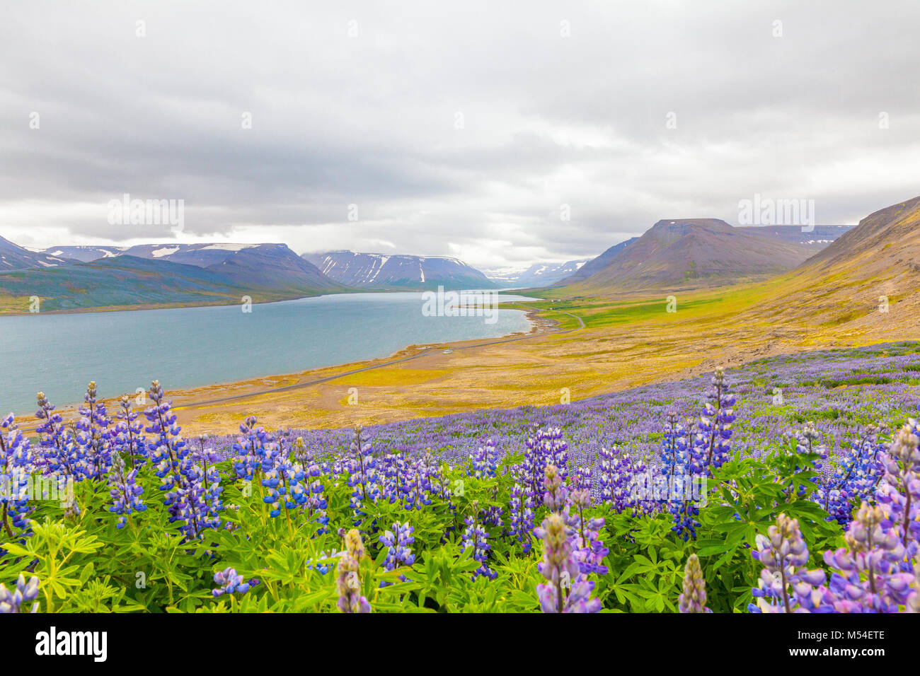 Iceland fiord scenery hi-res stock photography and images - Alamy