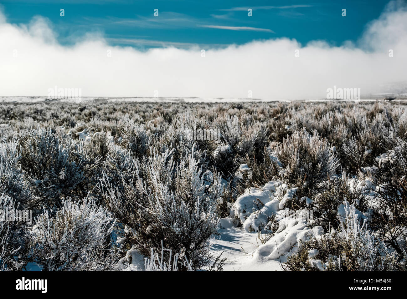 Landscape with hoarfrost Stock Photo - Alamy