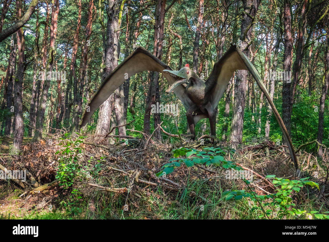 Pterodactyl hi-res stock photography and images - Alamy