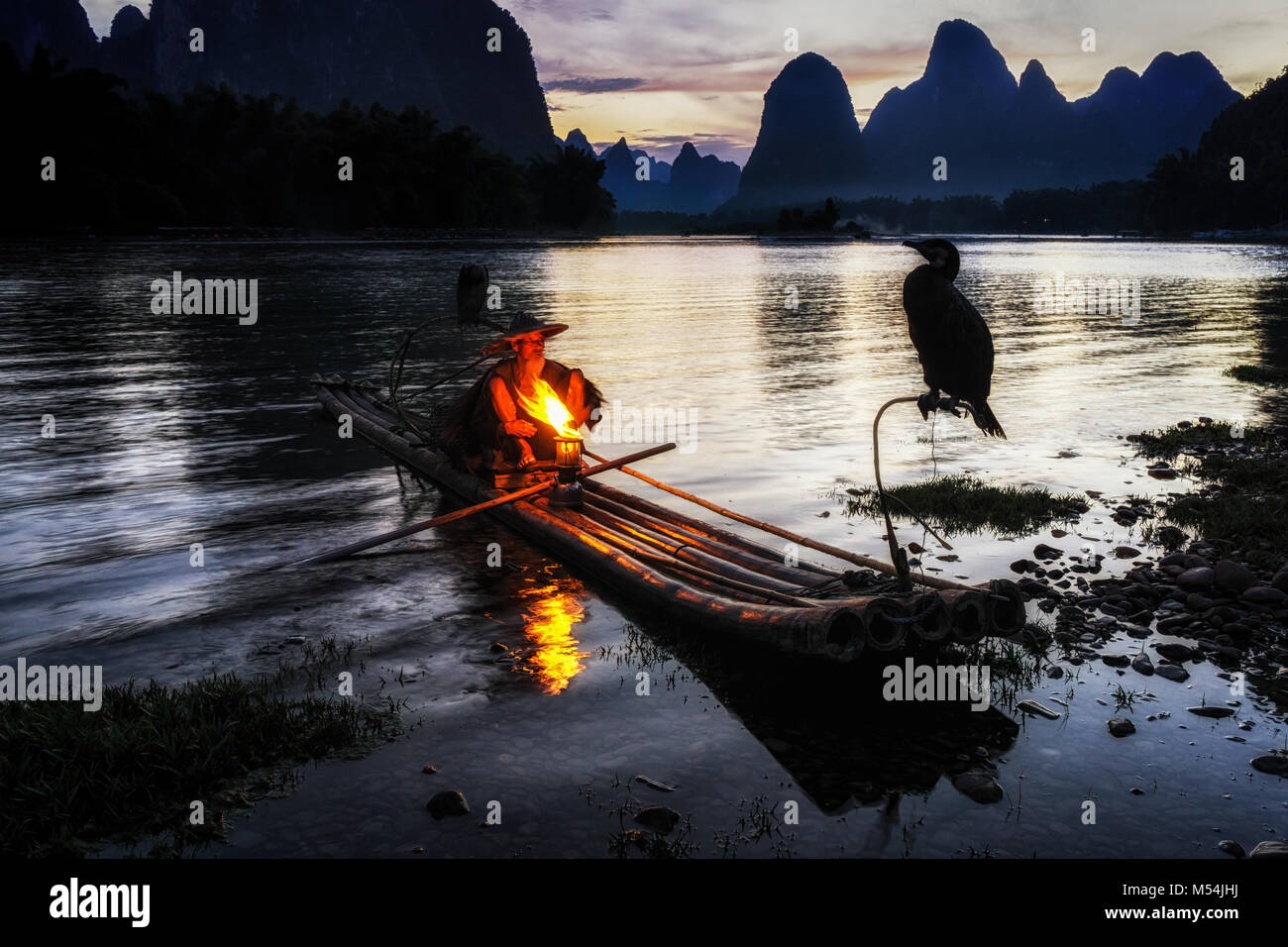 The cormant fisherman in li river Stock Photo - Alamy