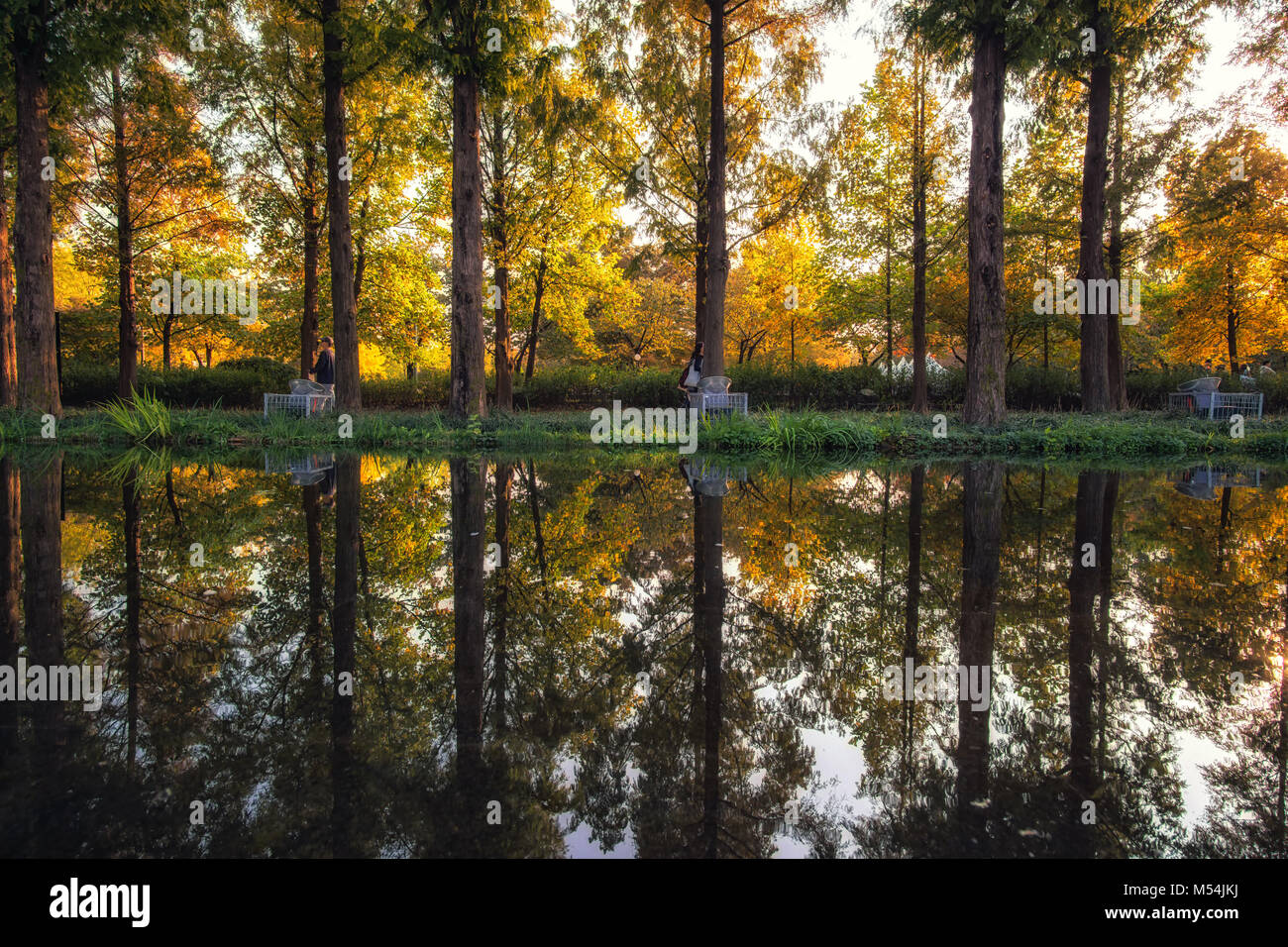 Seoul forest autumn Stock Photo - Alamy