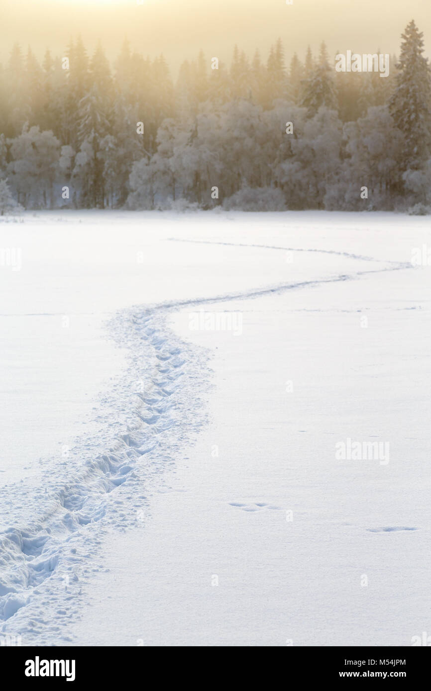 Sno hi-res stock photography and images - Alamy