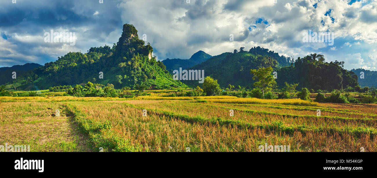 Rice field and mountains. Beautiful rural landscape. Vang Vieng, Laos ...