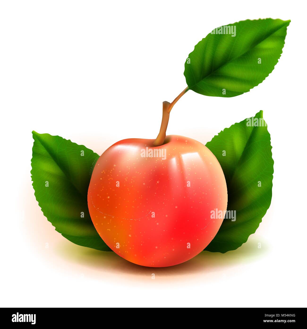 Photo realistic peach 3d vector fruit with leaves isolated on white ...