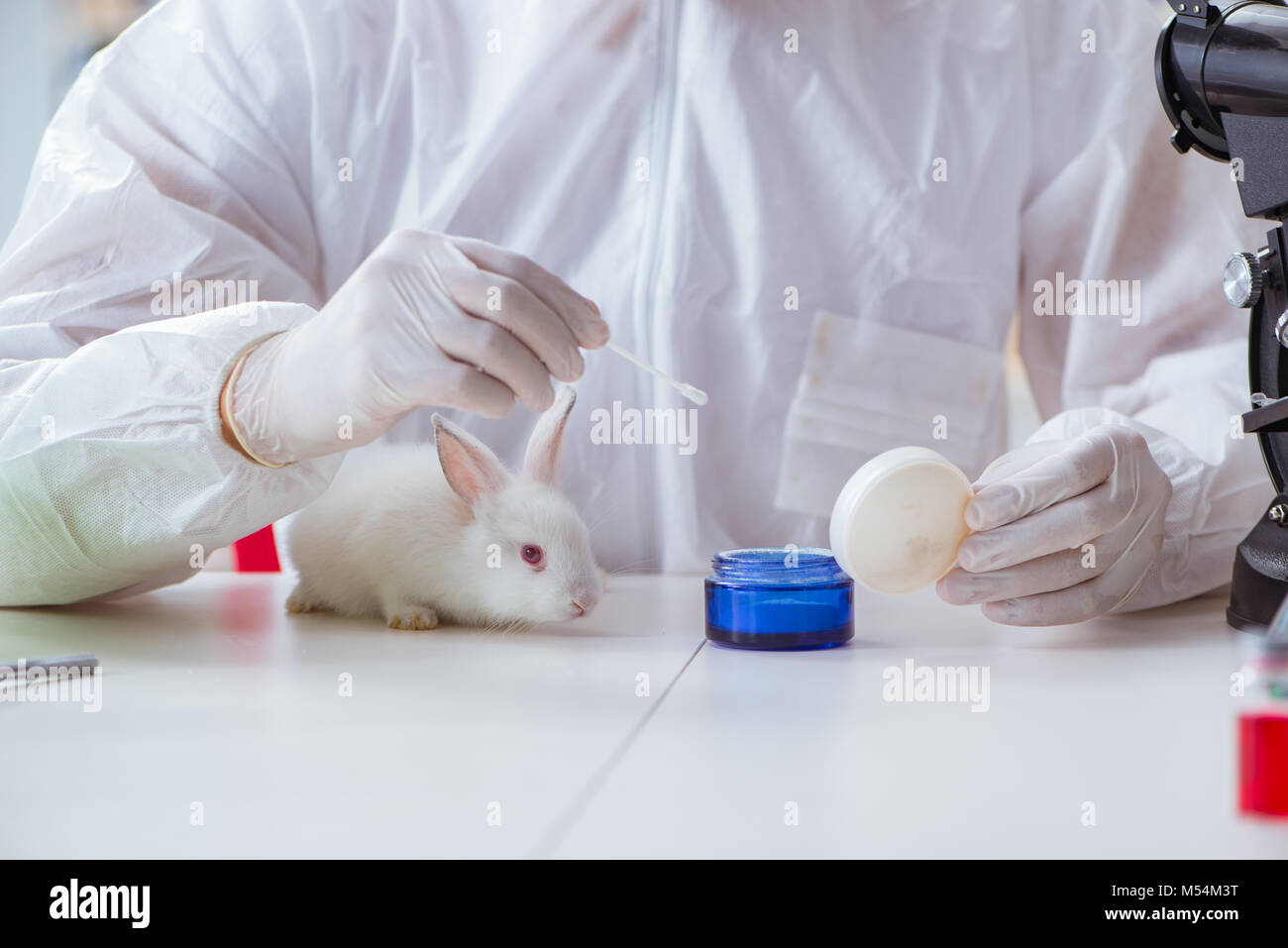 White rabbit in scientific lab experiment Stock Photo - Alamy