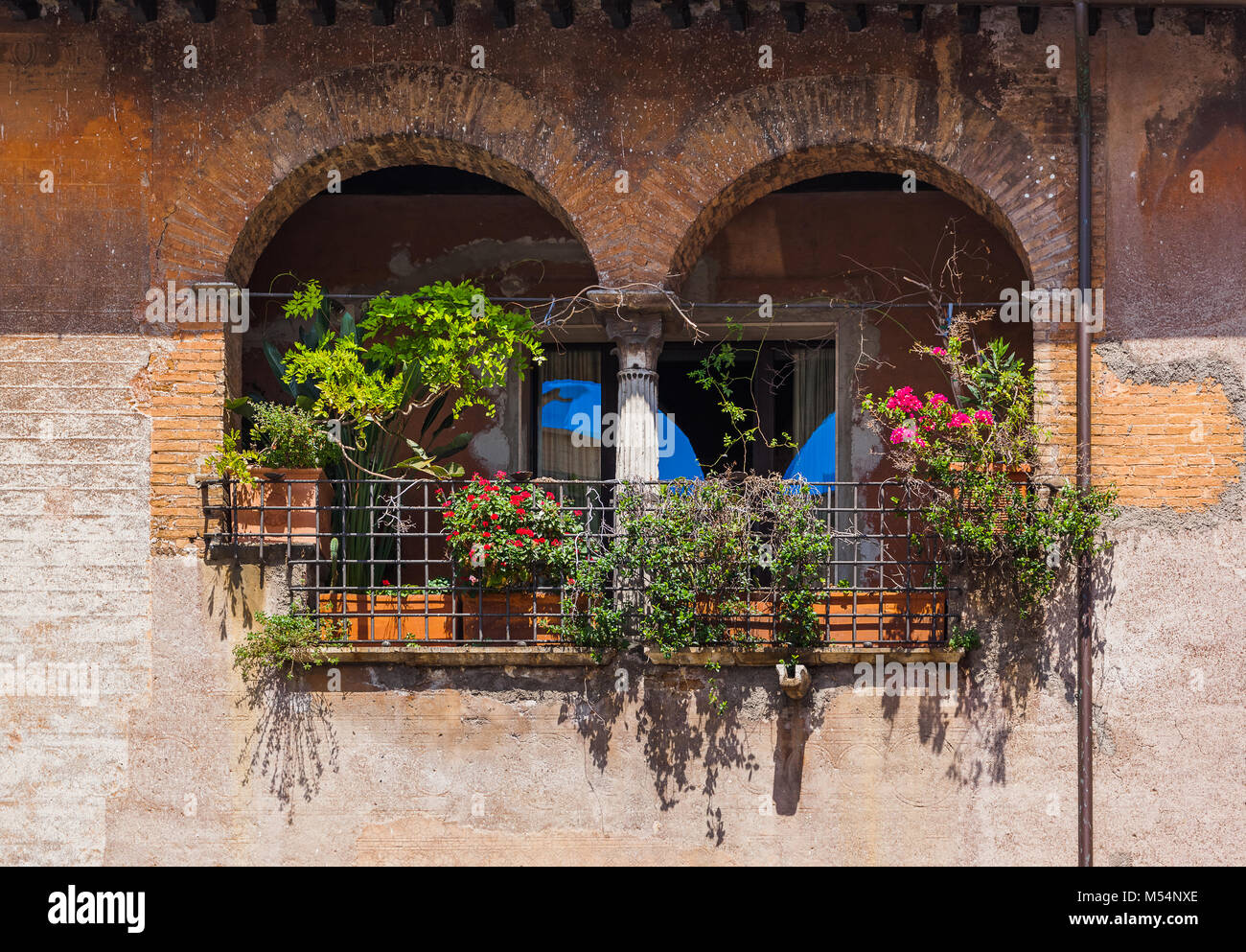 Italy rome balcony flowers hi-res stock photography and images - Alamy
