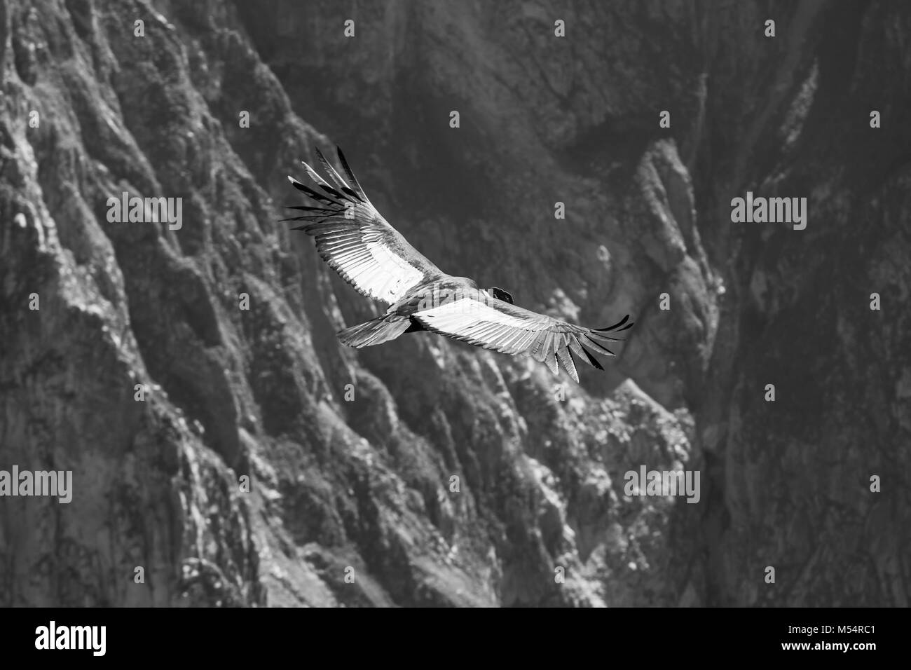 Deepest canyon Black and White Stock Photos & Images - Alamy