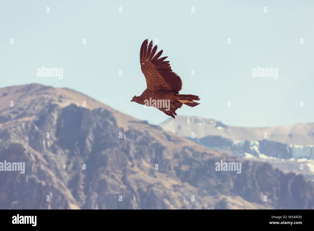 Review of tr hi-res stock photography and images - Alamy