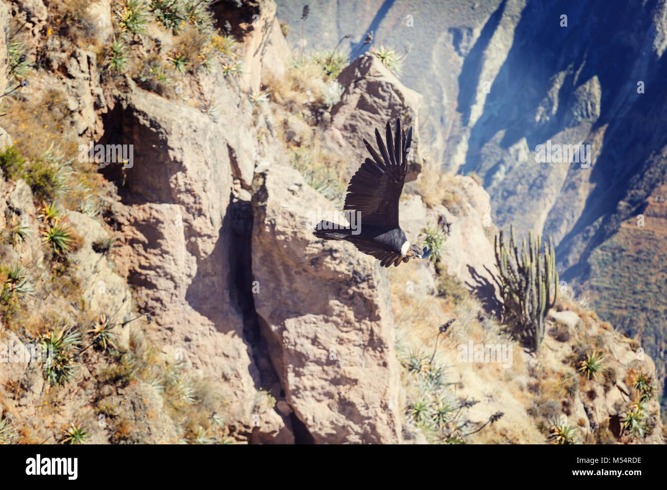 Excu hi-res stock photography and images - Alamy