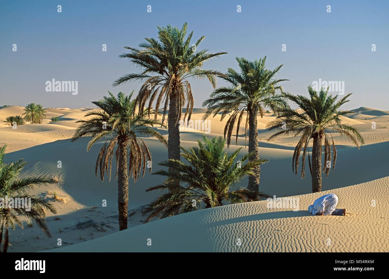 Touggourt hi-res stock photography and images - Alamy