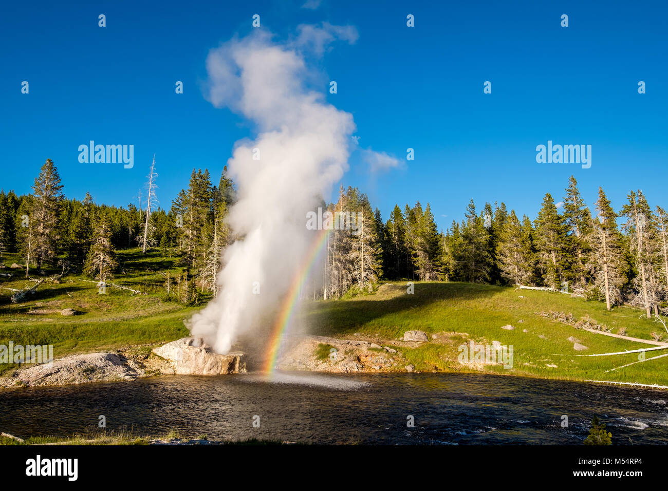 Riverside Geyser in Yellowstone National Park Stock Photo - Alamy