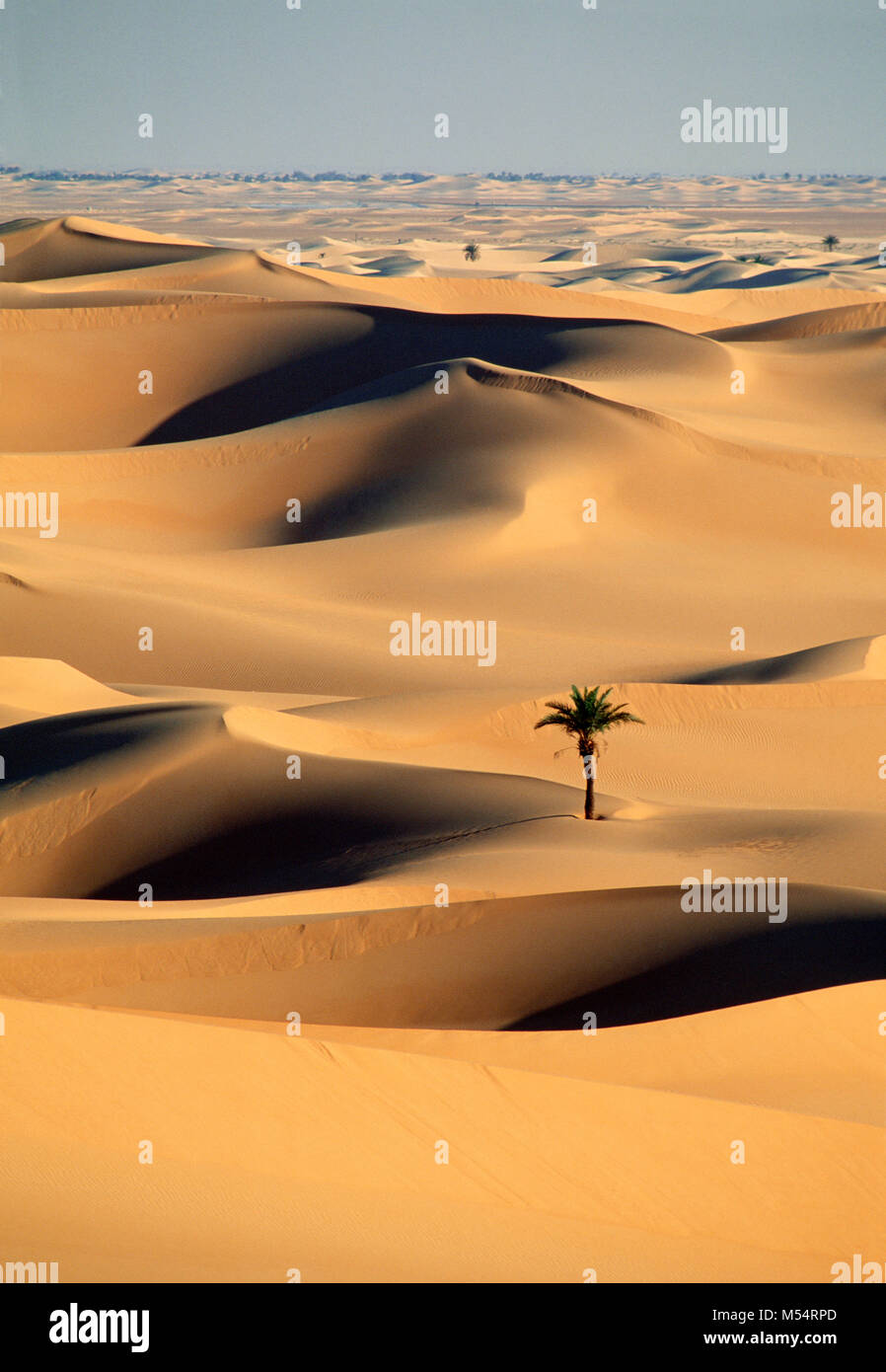 Ouargla algeria hi-res stock photography and images - Alamy