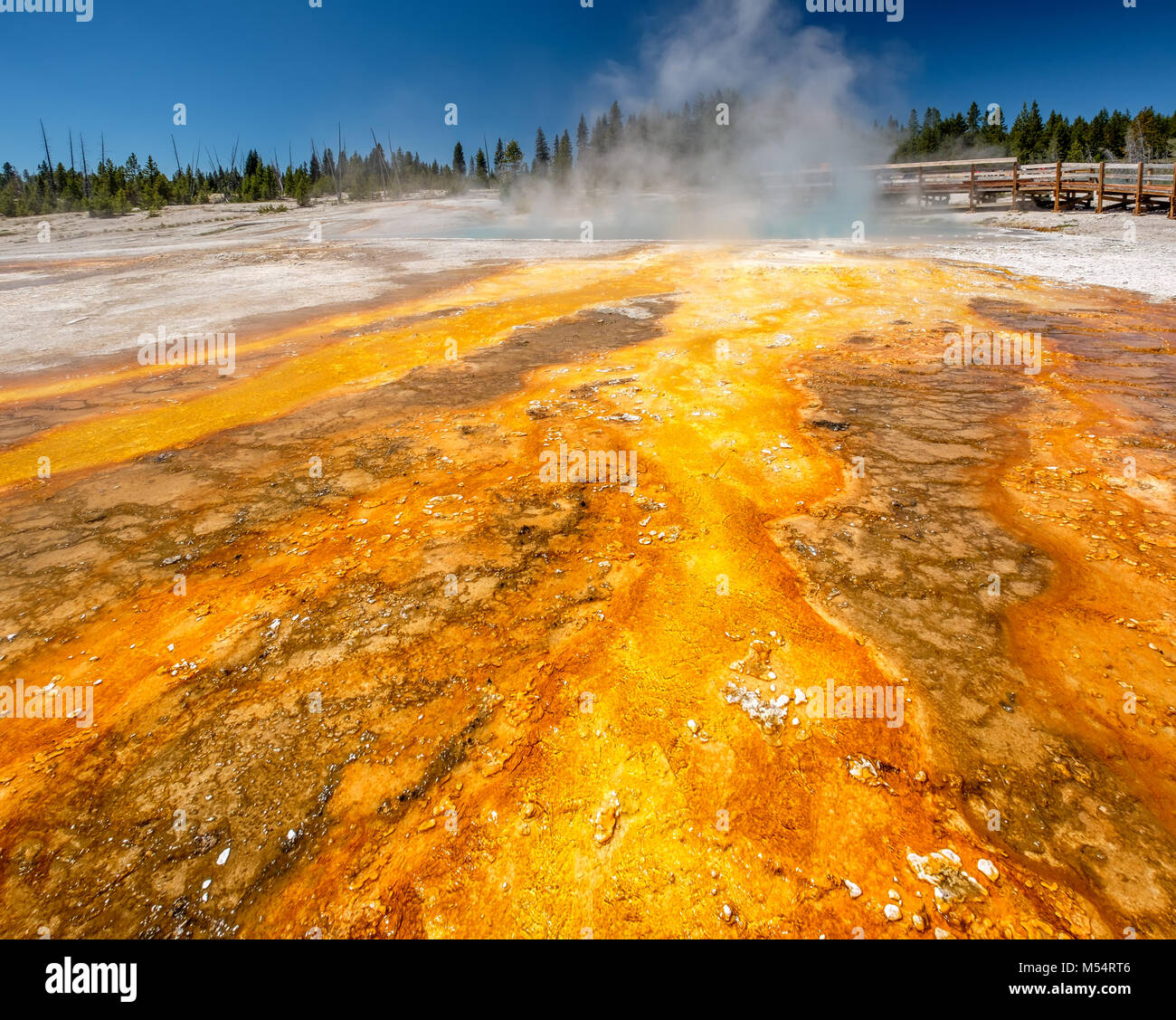 Hot thermal spring in Yellowstone Stock Photo - Alamy