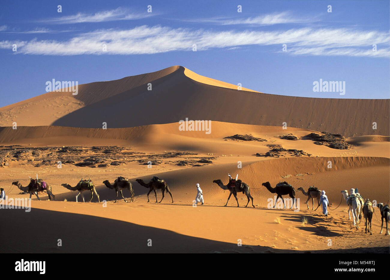Algeria. Near Djanet. Sahara desert. Men of Tuareg tribe and camel ...