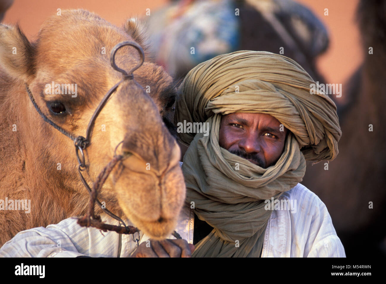 Algeria. Near Djanet. Sahara desert. Portrait of man of Tuareg tribe ...